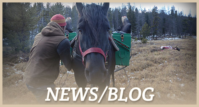 British Columbia Big Game Guide & Outfitters | Bear and Moose Outfitter ...